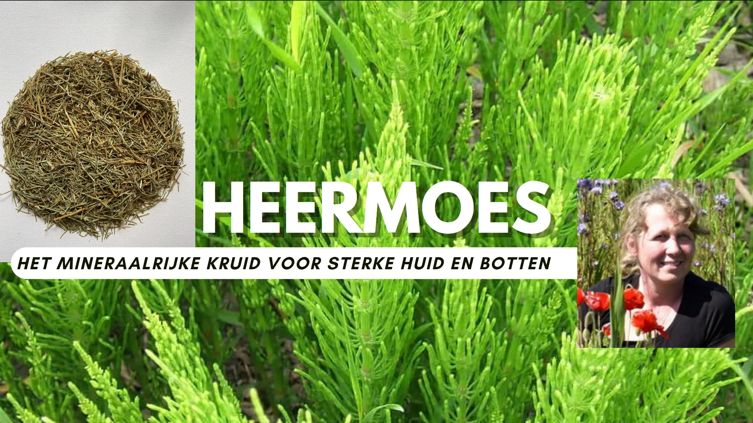 Heermoes en de kracht van mineralen - Gezondheidsnieuws Radio