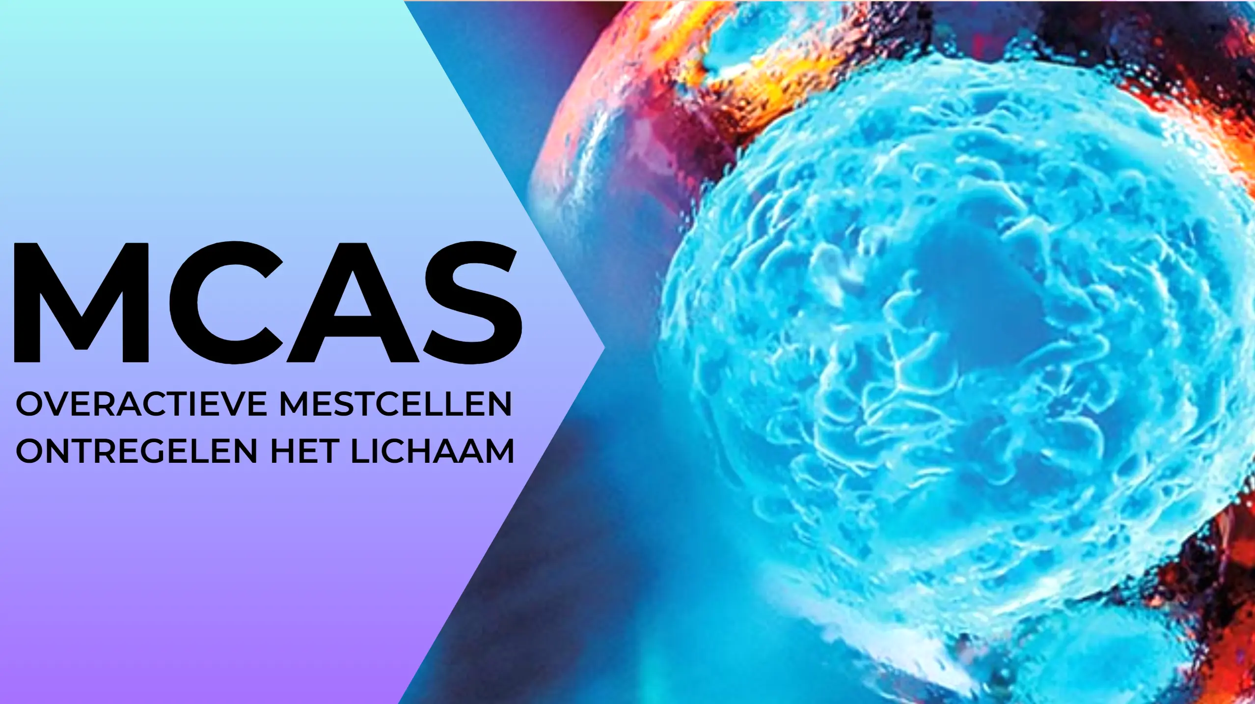 MCAS: wanneer mestcellen overgevoelig reageren - Gezondheidsnieuws Radio